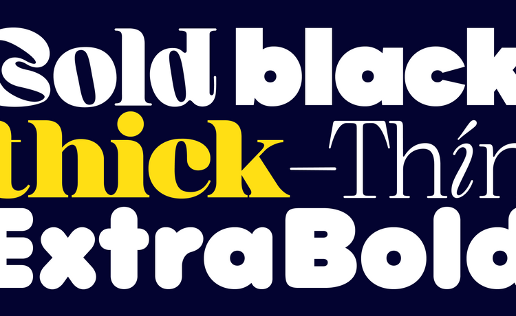 8 “Thick” fonts for 2024 – Mojomox