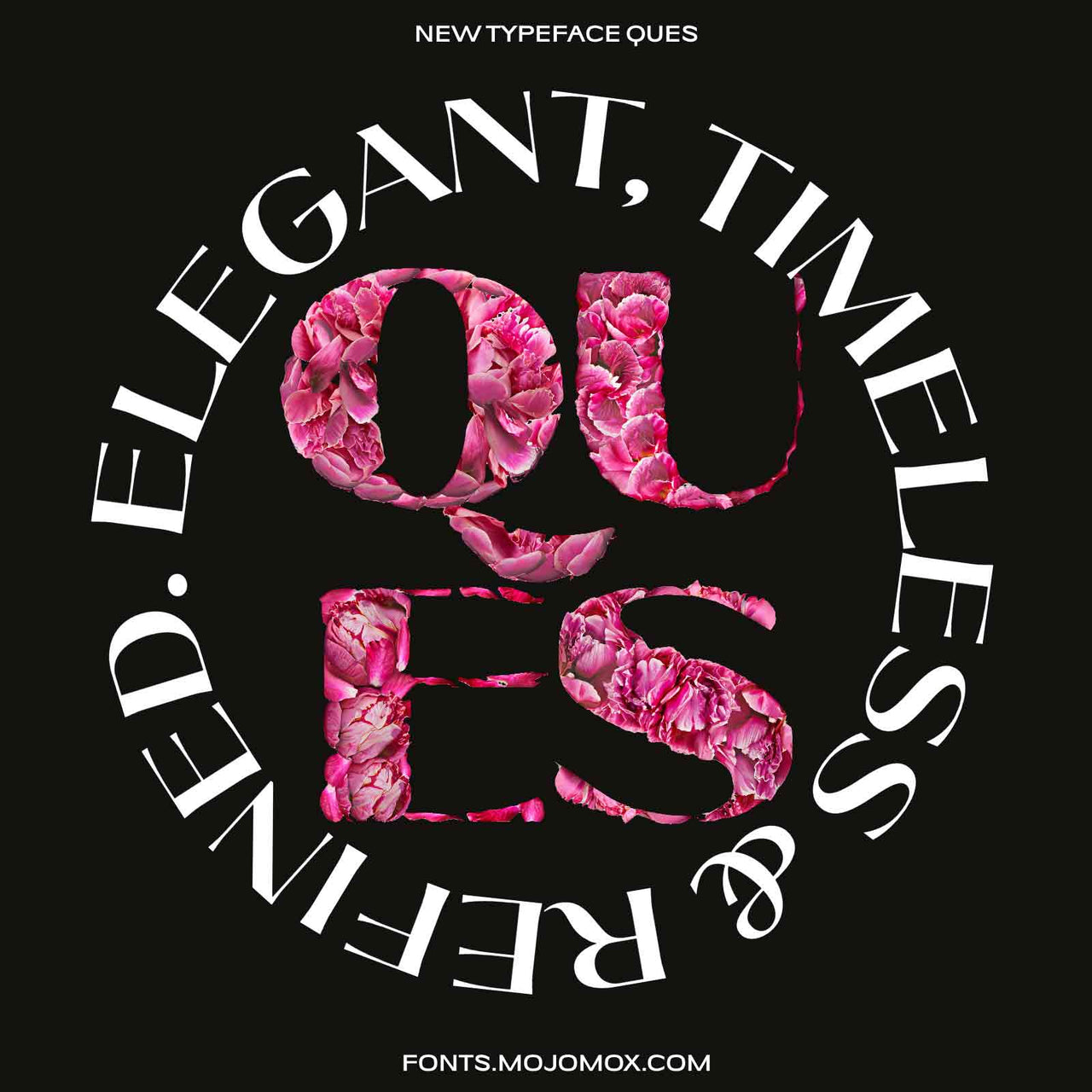 Ques—Humanist sans-serif font for modern elegance – Mojomox